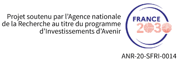 Integrated Master-PhD Track